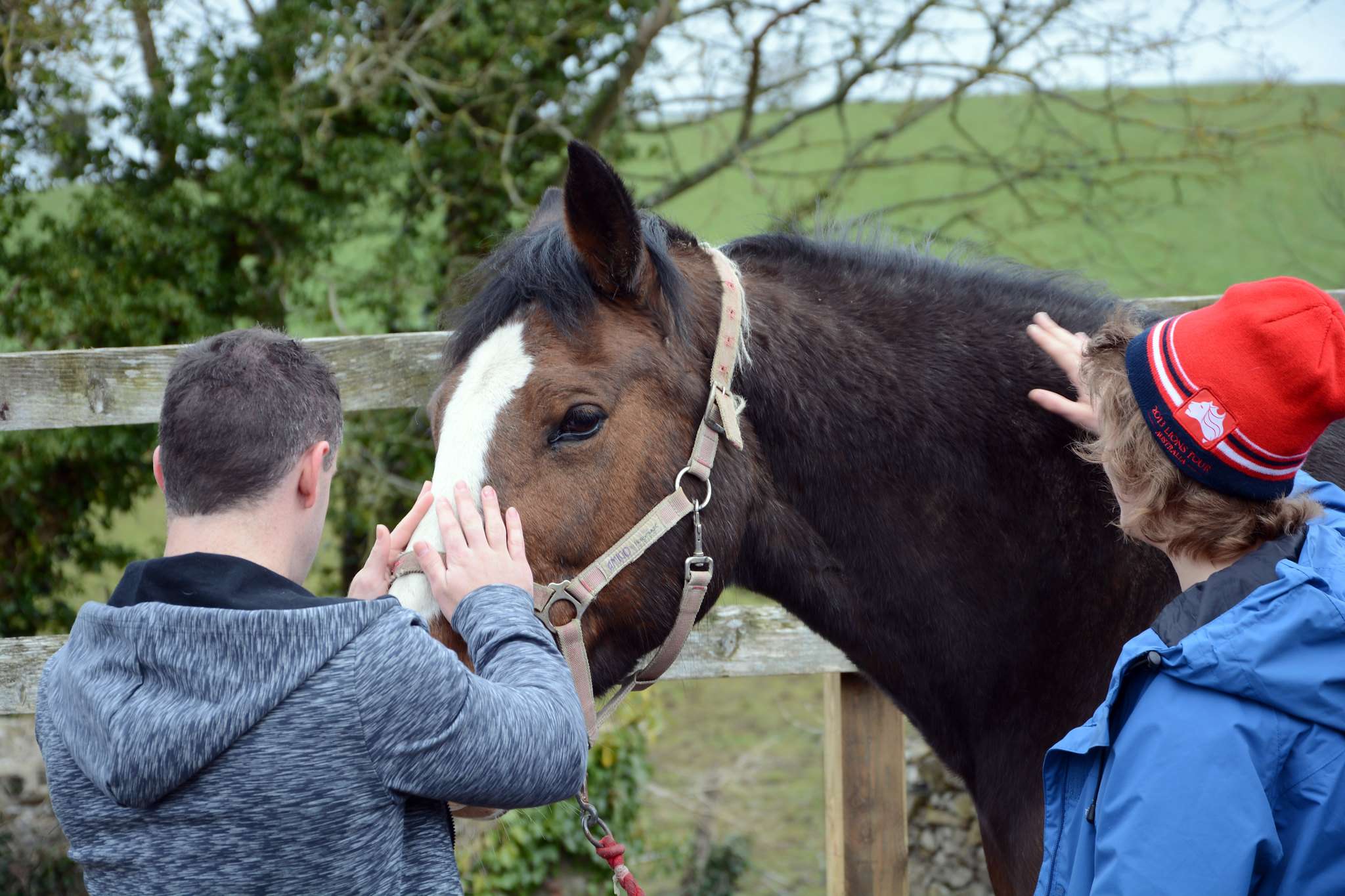 Patient Reviews - Smarmore Castle